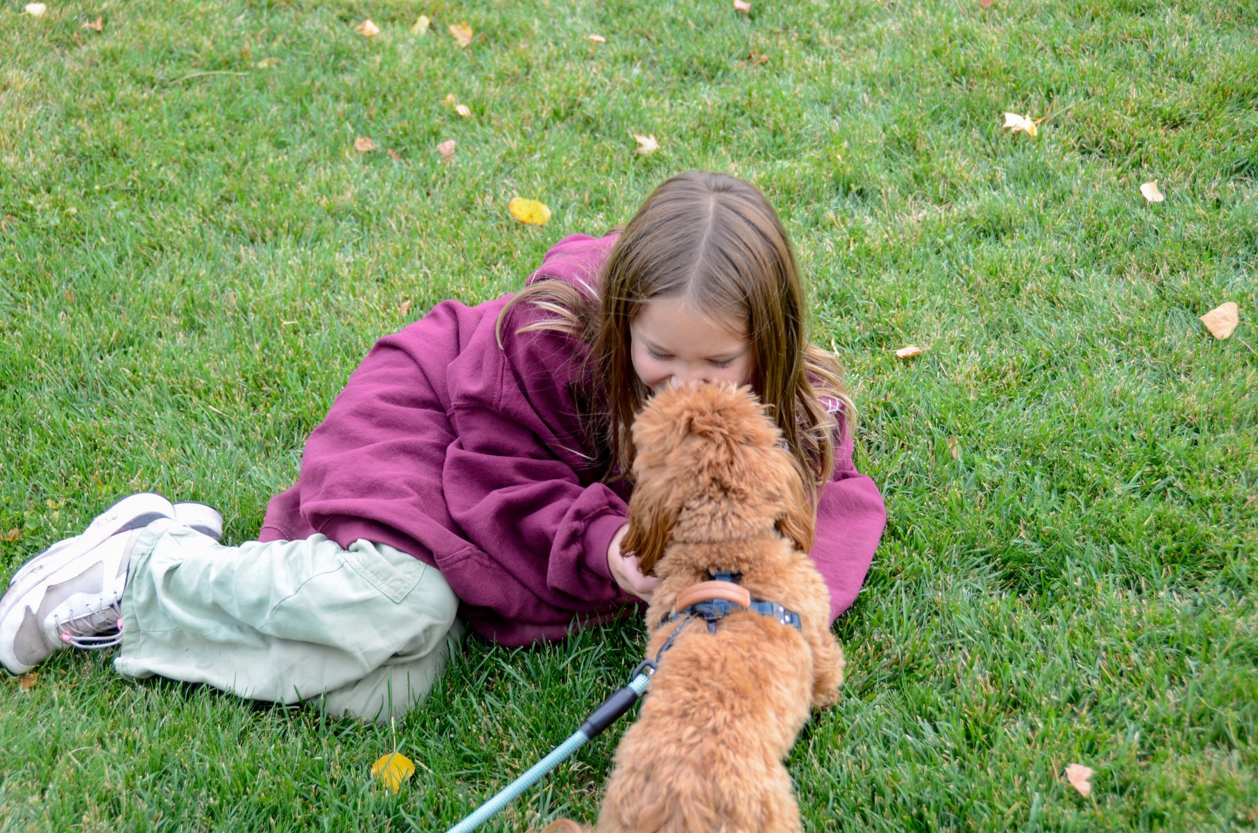 FAQ Page - KBK Training